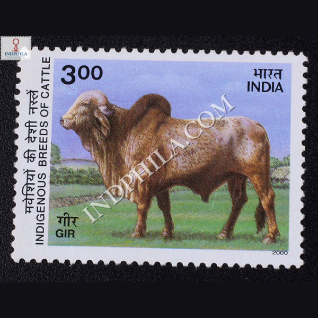 India 2000 Indigenous Breeds of Cattle Gir Mnh Single Stamp - Largest ...