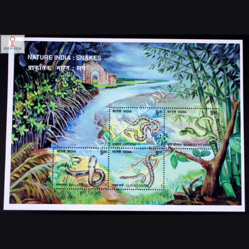 India 2003 Nature India - Snakes Python Pit Viper King Cobra Gliding ...