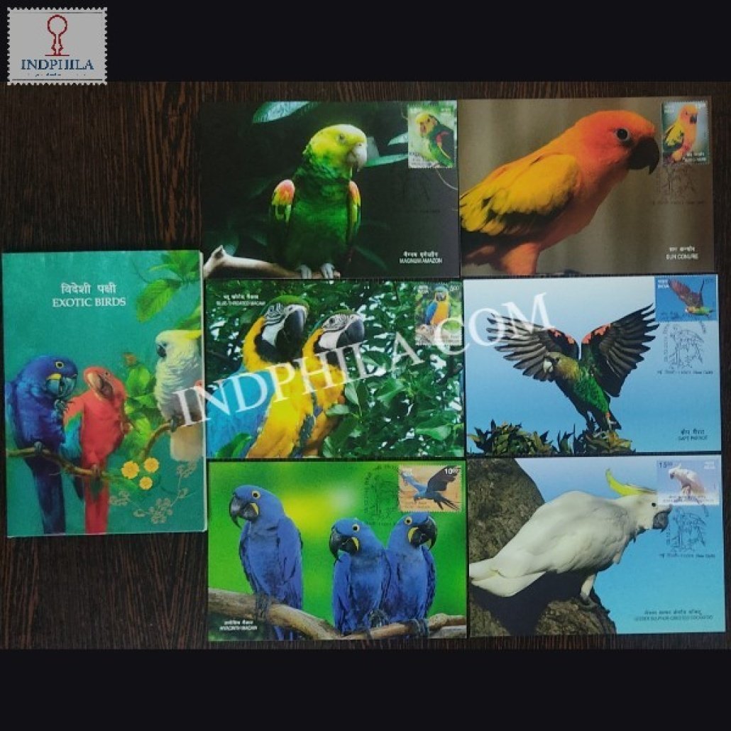 Exotic Birds Set of 6 Maxim Cards - Largest Online Dealer & Portal for ...