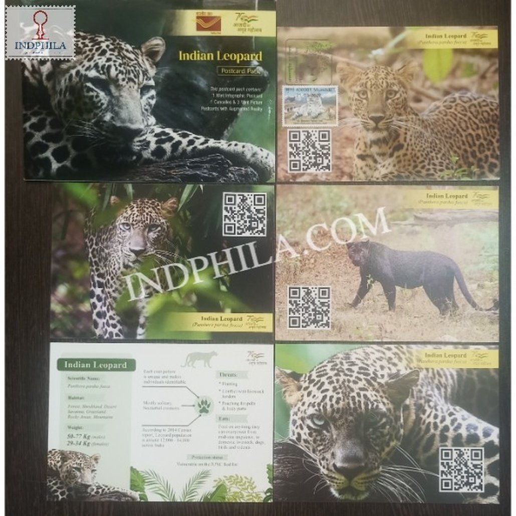 Indian Leopard Set of 5 Post Cards - Largest Online Dealer & Portal for ...