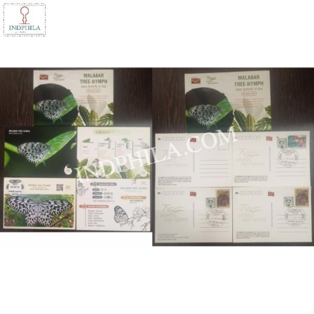 Malabar Tree Nymph State Butterfly of Goa Set of 4 Post Cards - Largest ...