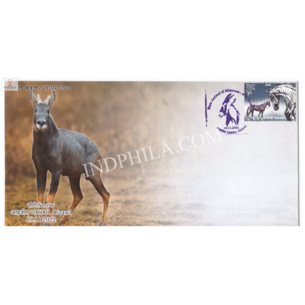 India 2022 Special Cover of State Animal of Mizoram Serow 2022 Aizawl ...