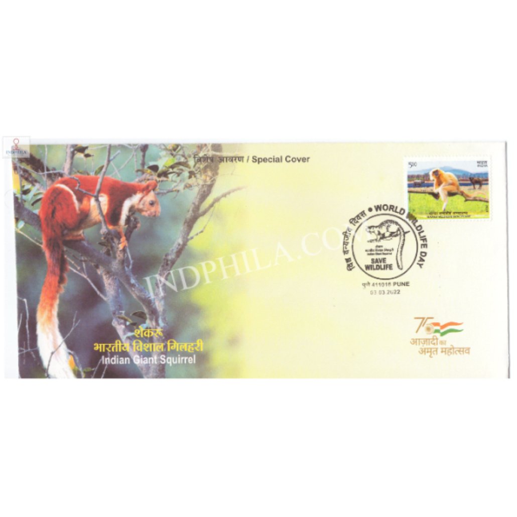 India 2022 Special Cover of World Wildlife Day Indian Giant Squirrel ...