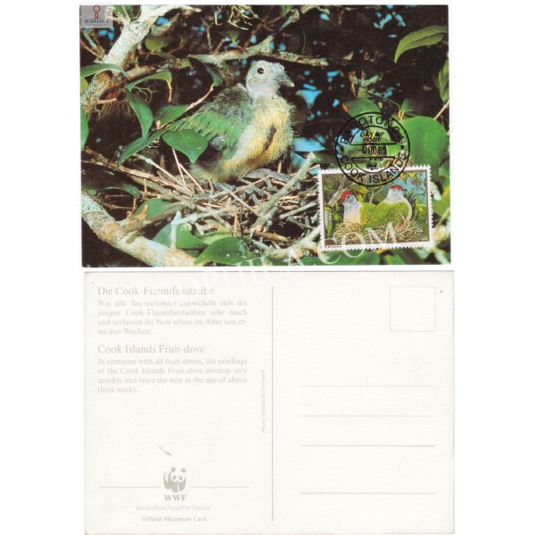 WWF Cook Islands Fruit-dove Maximum Card 1989 - Largest Online Dealer ...